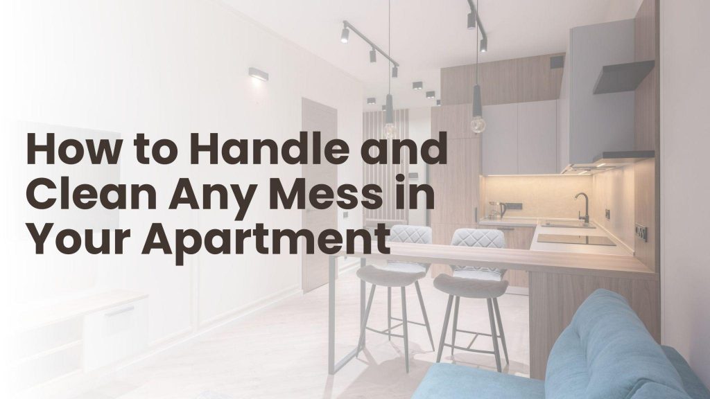 From Spills to Stains: A Handy Apartment Cleaning Guide
