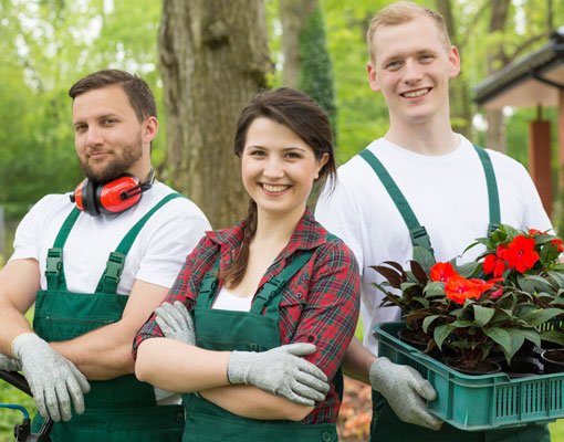 Cultivating Green Havens: A Garden Maintenance Guide by Mathew Morris